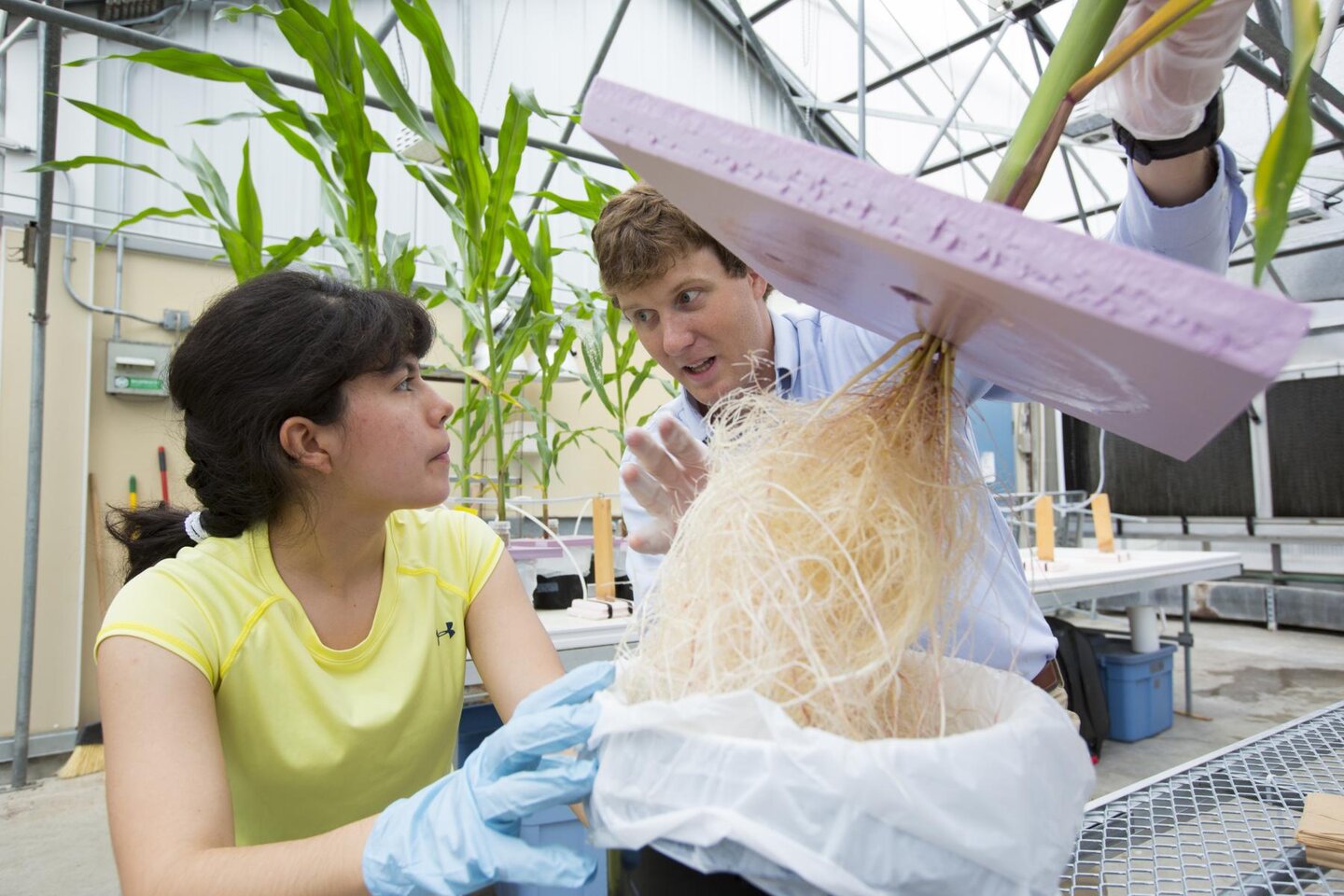 Funding | Office of Graduate Studies | Nebraska